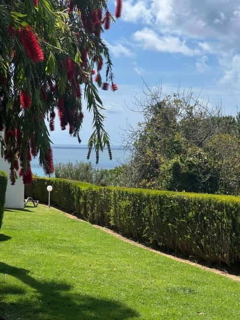 Yoga Brunch in Lagos by el Sol - Lifestyle - Detailed Breakdown of the Itinerary