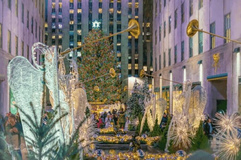 York: Christmas Market and City Highlights Walking Tour - What’s Included and What’s Not
