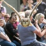 York: Entry to York bird of prey centre - Deep Dive Into the Itinerary