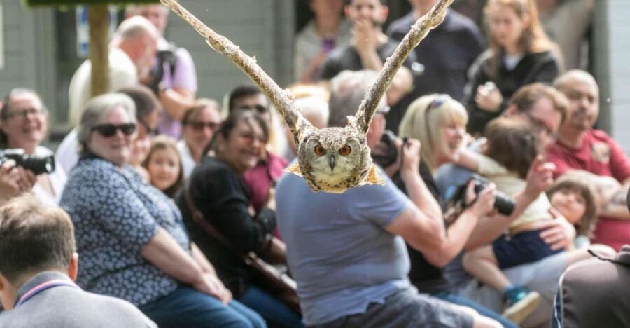York: Entry to York bird of prey centre - Deep Dive Into the Itinerary