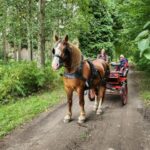 York: Horse Drawn Carriage Ride Around the Countryside York - The Itinerary: A Gentle, Relaxed Introduction to Yorkshire’s Countryside