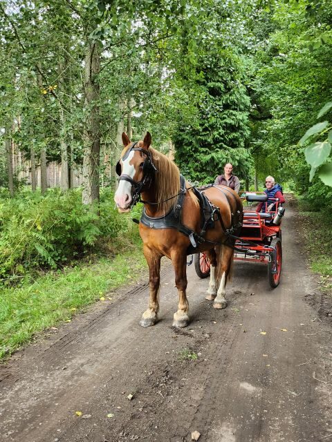 York: Horse Drawn Carriage Ride Around the Countryside York - The Itinerary: A Gentle, Relaxed Introduction to Yorkshire’s Countryside