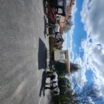 York: Horse Drawn Carriage ride & Cream Tea - What To Expect: From Departure to Cream Tea
