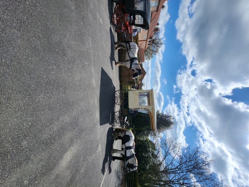 York: Horse Drawn Carriage ride & Cream Tea - What To Expect: From Departure to Cream Tea
