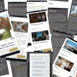 York & North Yorkshire Moors: Online Travel Guide - Sample Itinerary Highlights (Based on the Guide’s Suggestions)