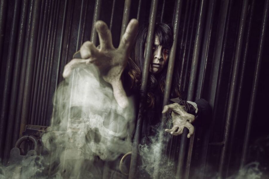 York: The York Dungeon Entry Ticket - The Ten Live Shows and Their Charm