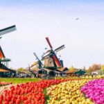 Zaanse Schans - Cheesefactory -Volendam, Private Tour. - A Detailed Look at the Tour Experience