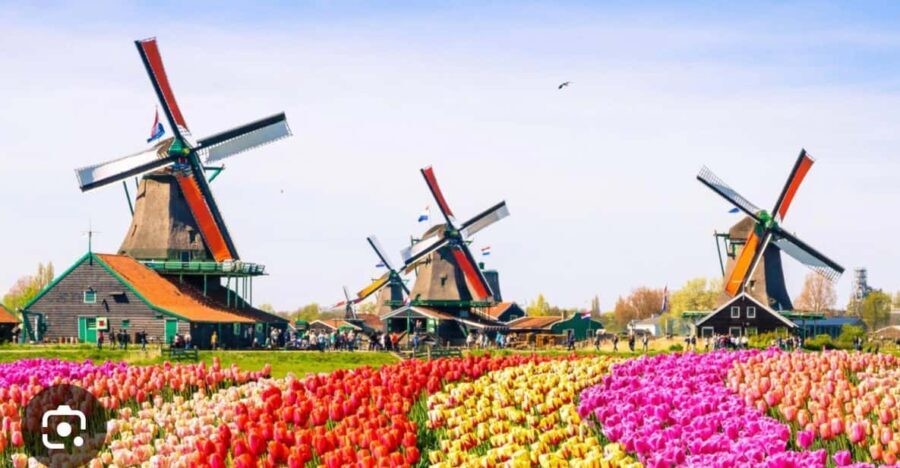 Zaanse Schans - Cheesefactory -Volendam, Private Tour. - A Detailed Look at the Tour Experience