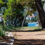 Zadar: Boat Tour to the Ugljan, Preko, and Oljak Islands - Who Will Love This Tour?