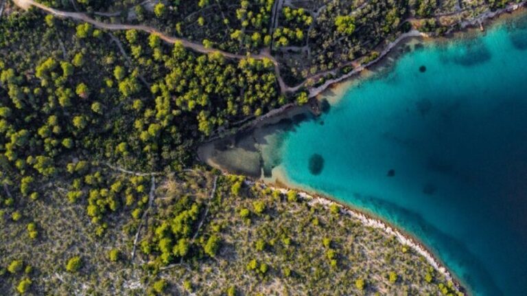 Zadar: Half Day Speedboat Adventure - What’s Included and What You Should Know