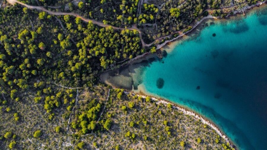 Zadar: Half Day Speedboat Adventure - What’s Included and What You Should Know