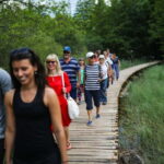 Zadar: Plitvice Lakes Guided Full-Day Trip with a boat ride - A Deep Dive into the Experience