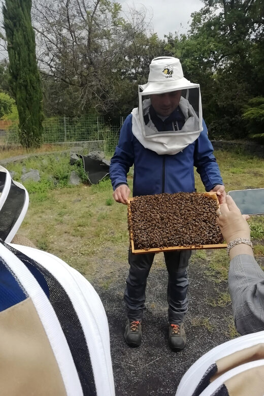 Zafferana Etnea:Honey extraction workshop and honey tasting - A Closer Look at the Honey Workshop and Tasting in Zafferana Etnea