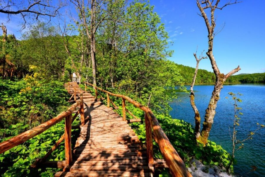 Zagreb to Split: Private Transfer with Plitvice Lakes - What Makes this Tour Stand Out?
