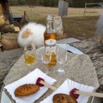 Zakopane and Hot Baths Private Tour from Krakow with tickets - Who Will Love This Tour?