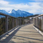 Zakopane: Treetop Walk & Niedzica Castle Private Tour - The Treetop Walk in Slovakia