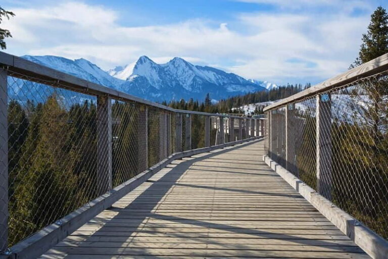 Zakopane: Treetop Walk & Niedzica Castle Private Tour - The Treetop Walk in Slovakia