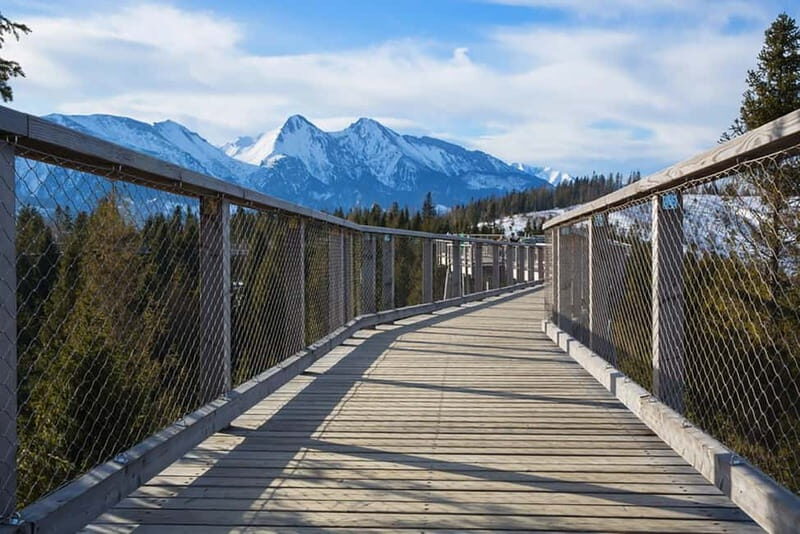 Zakopane: Treetop Walk & Niedzica Castle Private Tour - The Treetop Walk in Slovakia