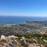 Zakynthos: Jeep Safari + Full Day Sea & Land Tour - Transport, Group Size, and Value