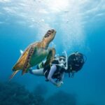 Zakynthos: Scuba Diving Experience with Underwater Photos - The Itinerary: What to Expect During Your Underwater Adventure