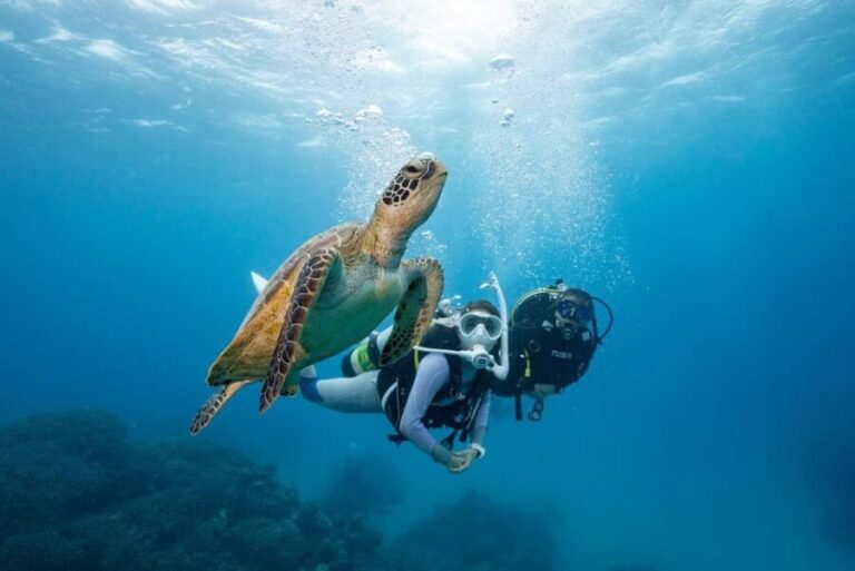 Zakynthos: Scuba Diving Experience with Underwater Photos - The Itinerary: What to Expect During Your Underwater Adventure