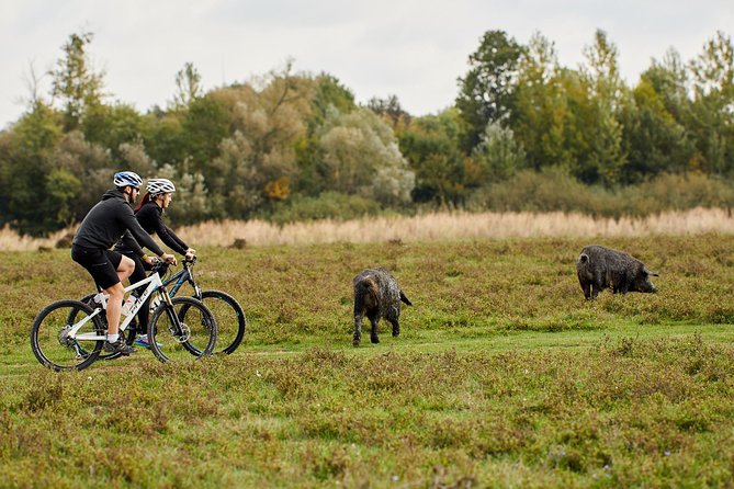 Zasavica Bike Tour - An In-Depth Look at the Zasavica Bike Tour