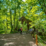Zatorland Amusement Park: Entry Ticket - Inside the Park: What to Expect