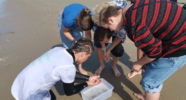 Zeeland Strand safari met visnet NL/DE - The Rich Variety of Marine Life