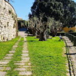 Zen Walking Tour Porto: Find Your Balance 2h - Why This Tour Stands Out in Porto