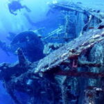 Zenobia Wreck: Private Guided Dive - Who Is This Tour Best For?