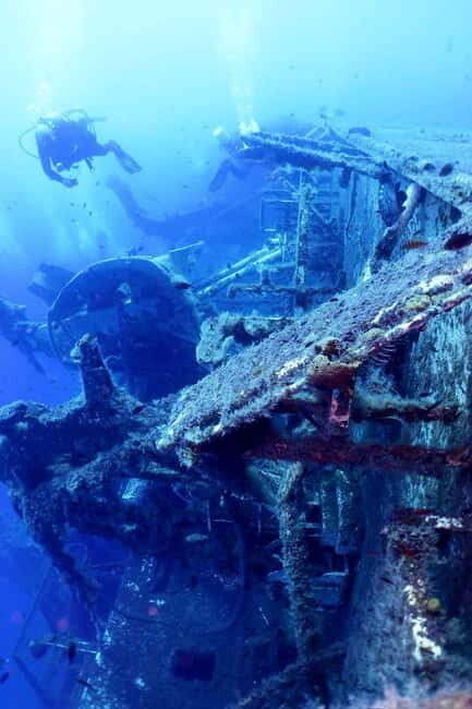 Zenobia Wreck: Private Guided Dive - Who Is This Tour Best For?