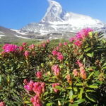Zermatt: Matterhorn Glacier Paradise & Schwarzsee Hike - What to Expect on the Tour