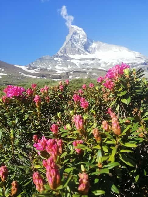 Zermatt: Matterhorn Glacier Paradise & Schwarzsee Hike - What to Expect on the Tour