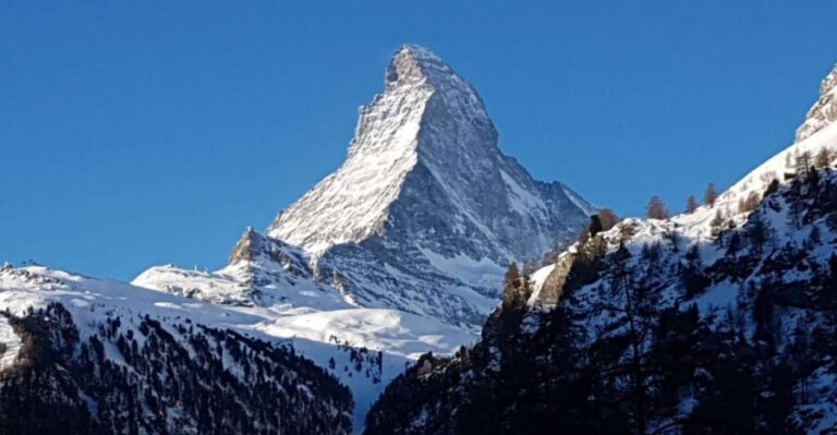Zermatt: Village Walk and Mt. Gornergrat Private Tour - Why This Tour Is a Good Deal