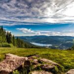 Zurich: Black Forest, Titisee, and Rhine Falls Bus Day Trip - Who Will Love This Tour?