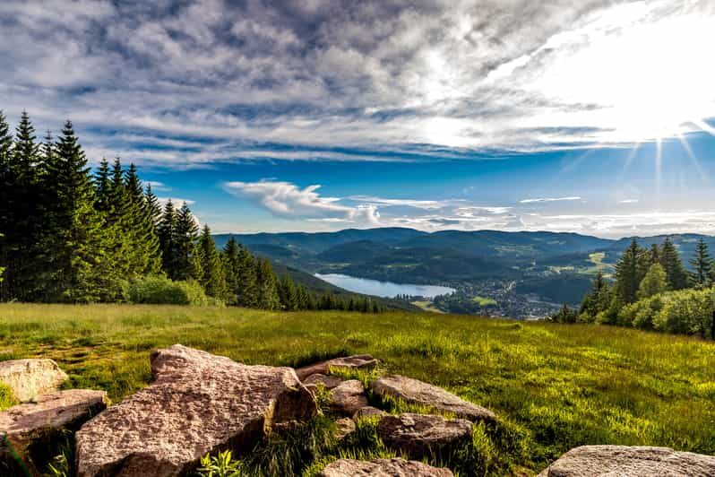 Zurich: Black Forest, Titisee, and Rhine Falls Bus Day Trip - Who Will Love This Tour?