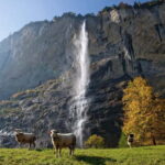 Zurich: Day Trip to Grindelwald, Interlaken & Lauterbrunnen - The Practical Side: What Travelers Should Know