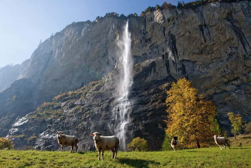 Zurich: Day Trip to Grindelwald, Interlaken & Lauterbrunnen - The Practical Side: What Travelers Should Know