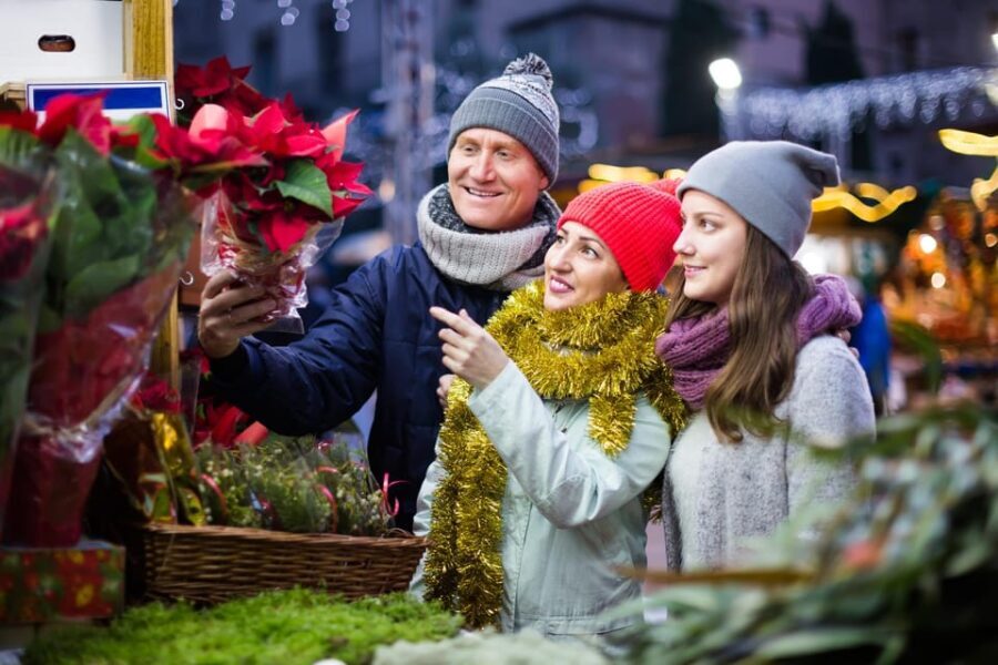 Zurich: Enchanted Christmas - A Festive Journey Walking Tour - Who Will Love This Tour?