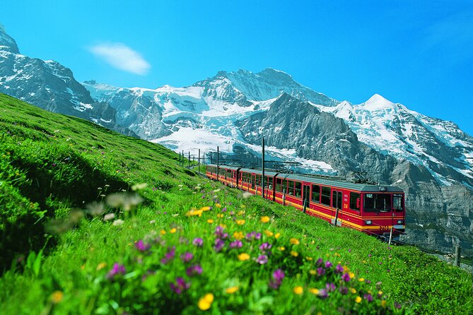 Zurich: Interlaken, Grindelwald & Harder Kulm Small Group Tour - Key Points