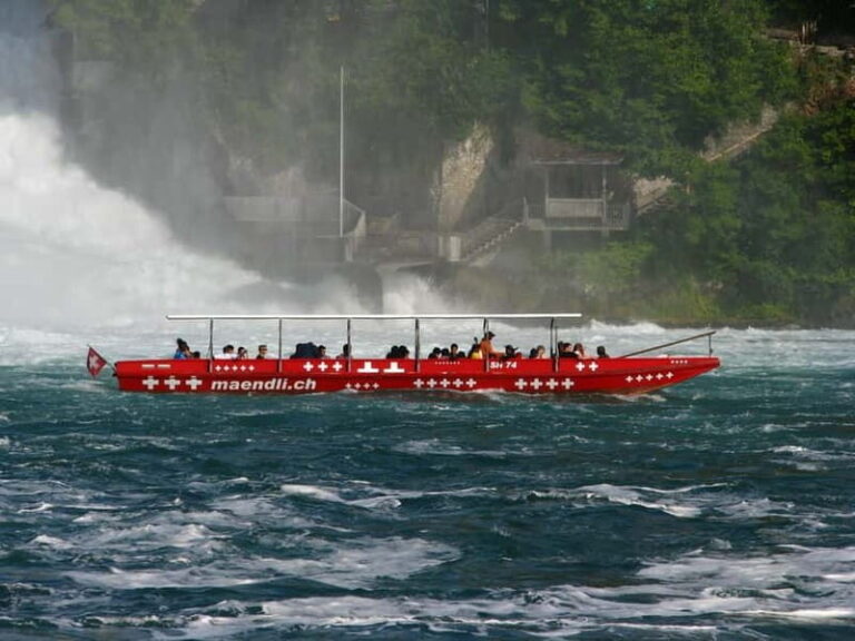 Zurich: Rhine Falls, Stein am Rhein and Titisee Private Trip - The Experience in Detail