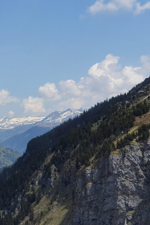 Zurich: Tour the Klausenpass with a Ford Mustang Convertible - The Value and Who It’s For