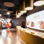 Zürich with Cruise and Lindt Home of chocolate (private) - Who Is This Tour Best For?