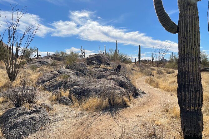 1-2 Hour Sonoran Desert Private Guided Hiking Tour - Who Will Love This Tour?