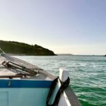 1.5 Hour Coastal Tour of Herm & Jethou - Final Thoughts