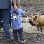 1.5 Hour Immersive Farm Experience in Adirondacks - What Reviewers Say