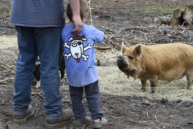 1.5 Hour Immersive Farm Experience in Adirondacks - What Reviewers Say