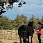 1.5 Hours Private Meditations with the Horses in Oregon - Frequently Asked Questions