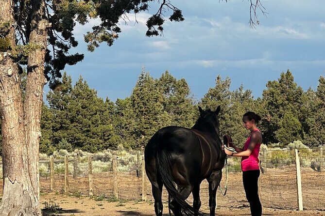 1.5 Hours Private Meditations with the Horses in Oregon - Frequently Asked Questions