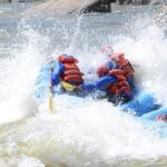 1-Day Arkansas River - Bighorn Sheep Canyon Trip - Detailed Breakdown of the Itinerary